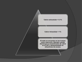 Capitulo 79 hormona paratiroidea,calcitonina, metabolismo del calcio y ...