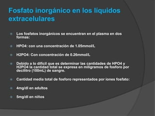 Capitulo 79 hormona paratiroidea,calcitonina, metabolismo del calcio y ...