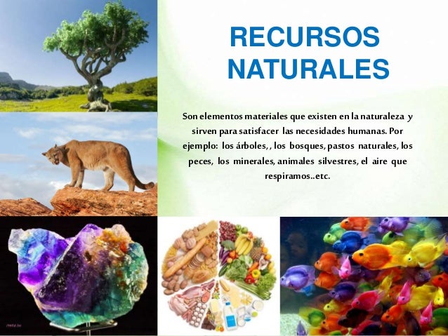 Recursos Naturales Del Perú – Mapa ecológico del Perú: guía explicativa ...