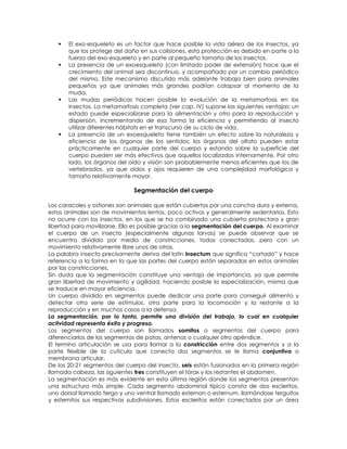 Morfologia de los Insectos | PDF