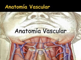 Capitulo IX Anatomia Vascular | PPTX