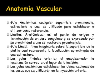 Capitulo IX Anatomia Vascular | PPTX