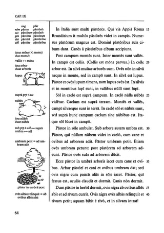 LLPSI - Capitulum ix - pastor et oves | PDF