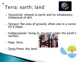Capitulum Secundum Derivatives | PPT