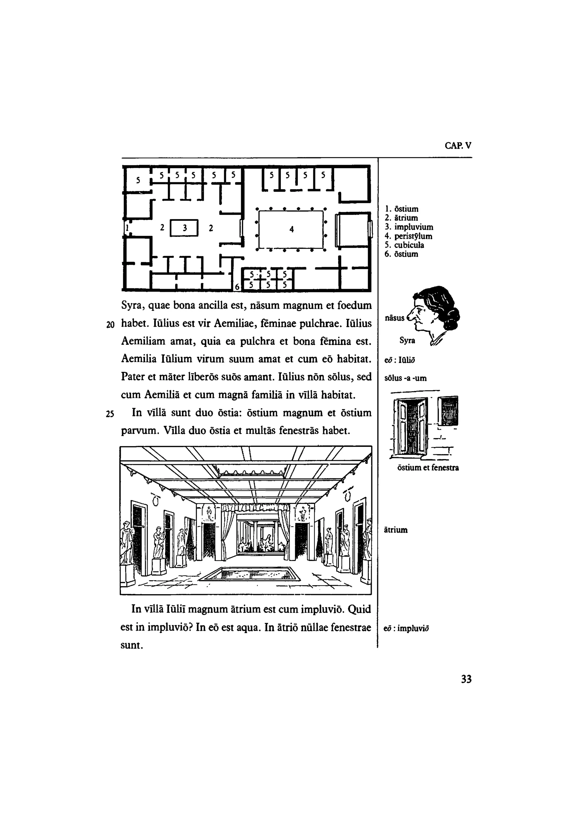 Lingua Latina per se illustrata - Capitulum v | PDF