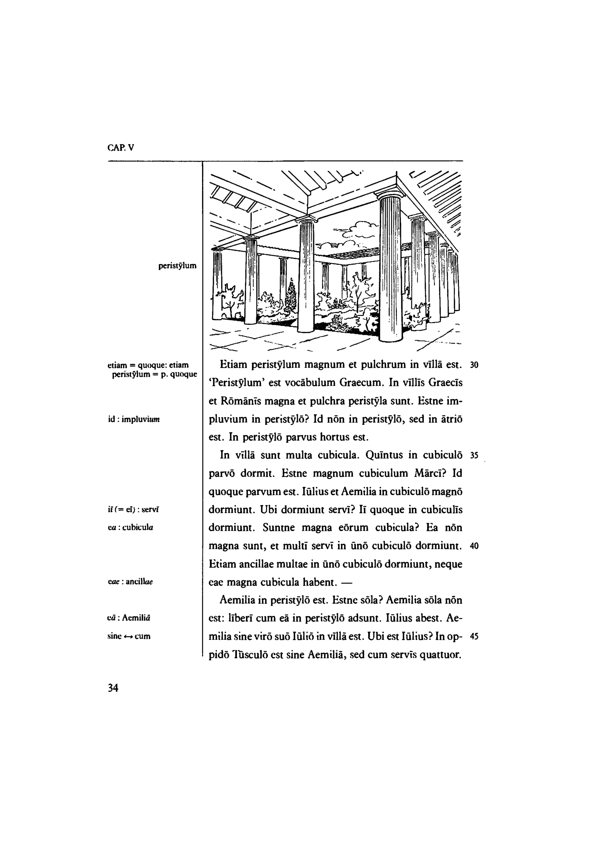 Lingua Latina per se illustrata - Capitulum v | PDF