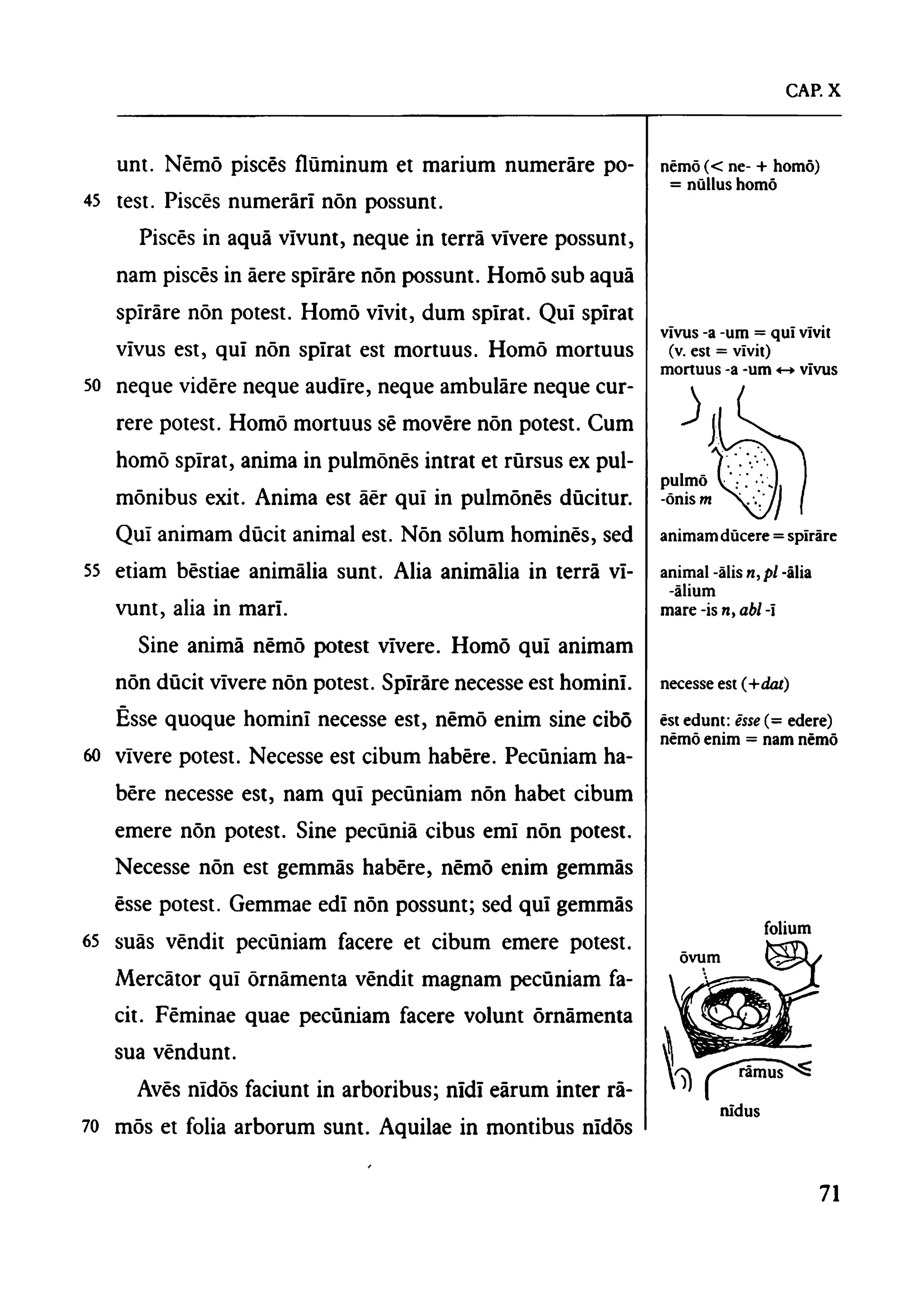 LLPSI - Capitulum x - bestiae et homines | PDF