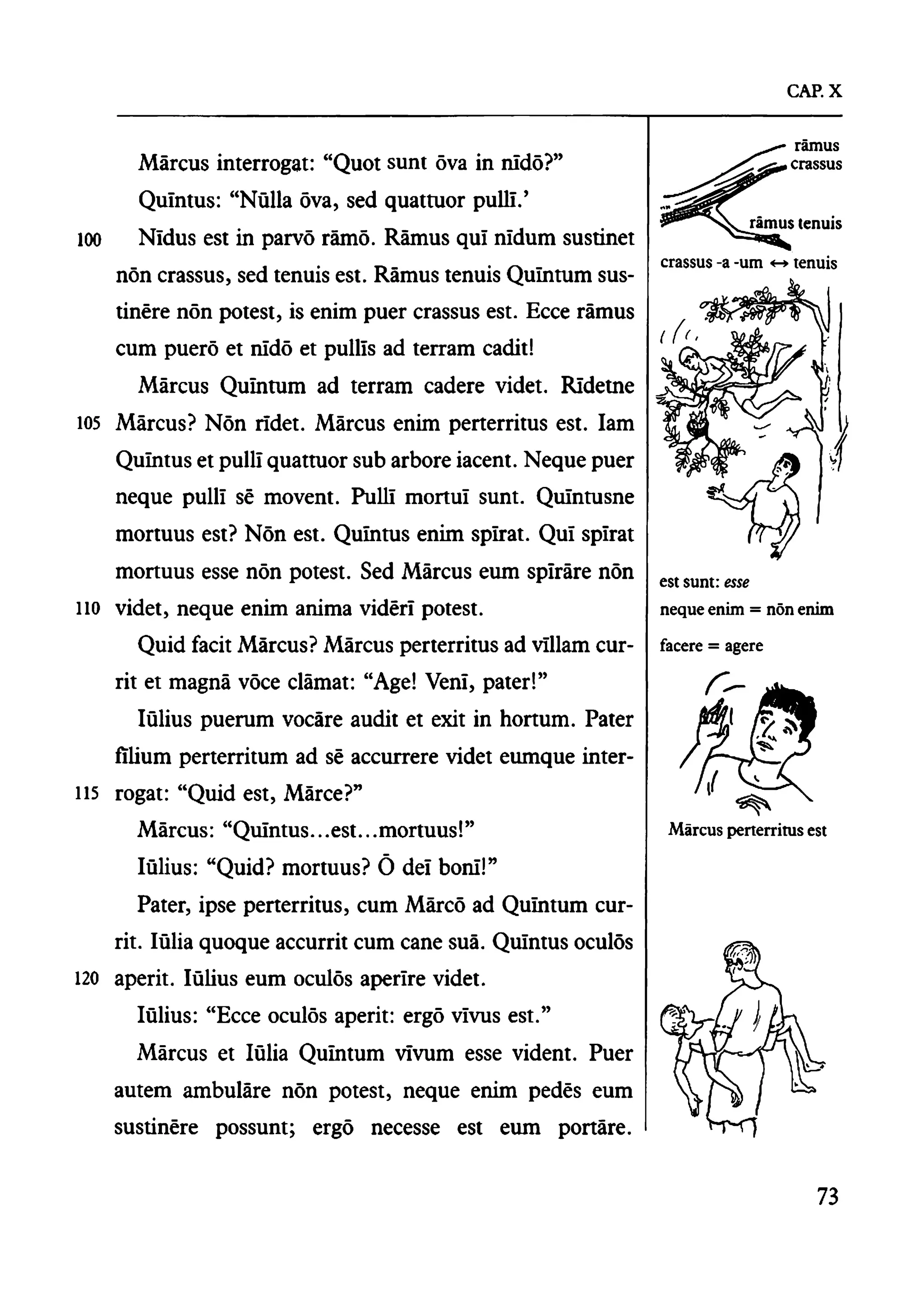 LLPSI - Capitulum x - bestiae et homines | PDF