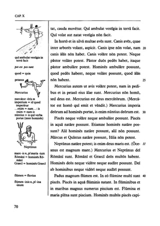 LLPSI - Capitulum x - bestiae et homines | PDF