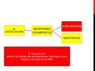 SISTEMA NERVIOSO AUTÓNOMO (2) | PPTX