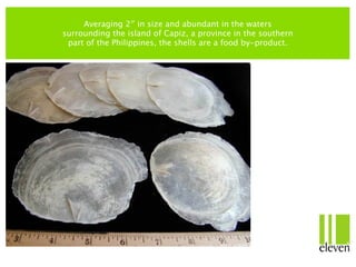 Capiz by eleven | KEY