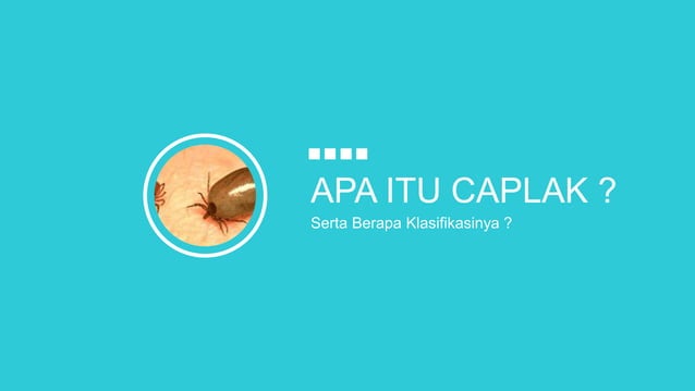 Caplak | PPT