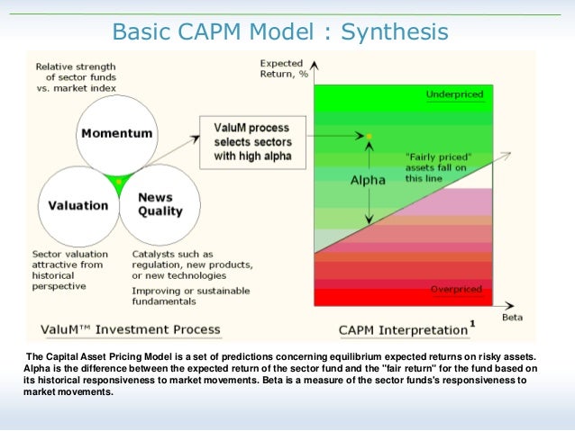 Capm theory portfolio management