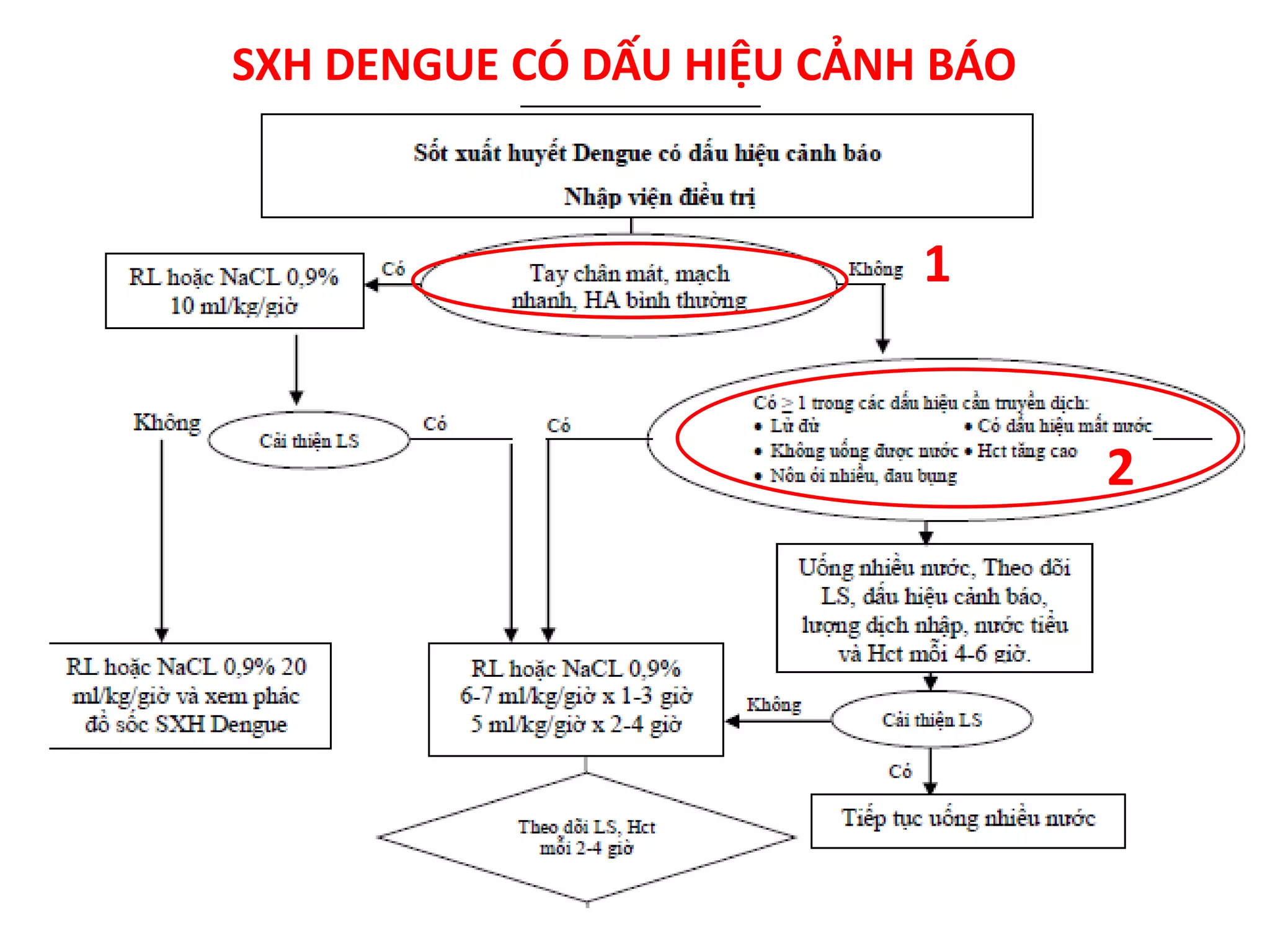 Cập nhật điều trị SXH Dengue nặng ở trẻ em - 2019 - Đại học Y dược TPHCM | PPT