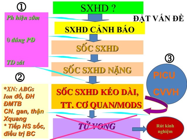 Cập nhật điều trị SXH Dengue nặng ở trẻ em - 2019 - Đại học Y dược TPHCM | PPT