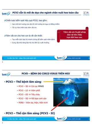 Cap nhat ve PCV2.pdf