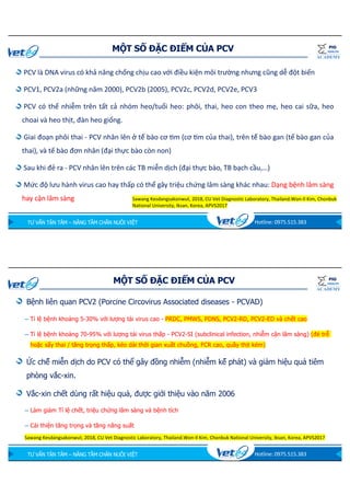 Cap nhat ve PCV2.pdf