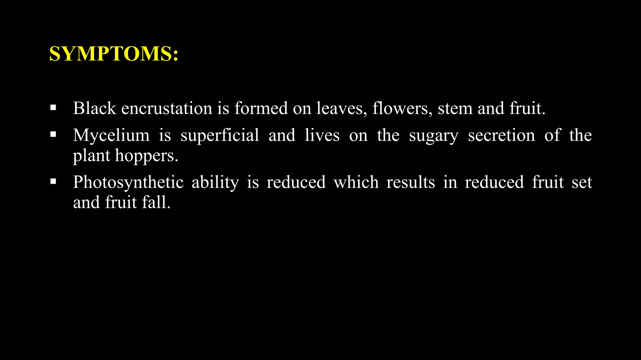 Capnodium symptoms, host range, taxonomy and life cycle of capnodium ...