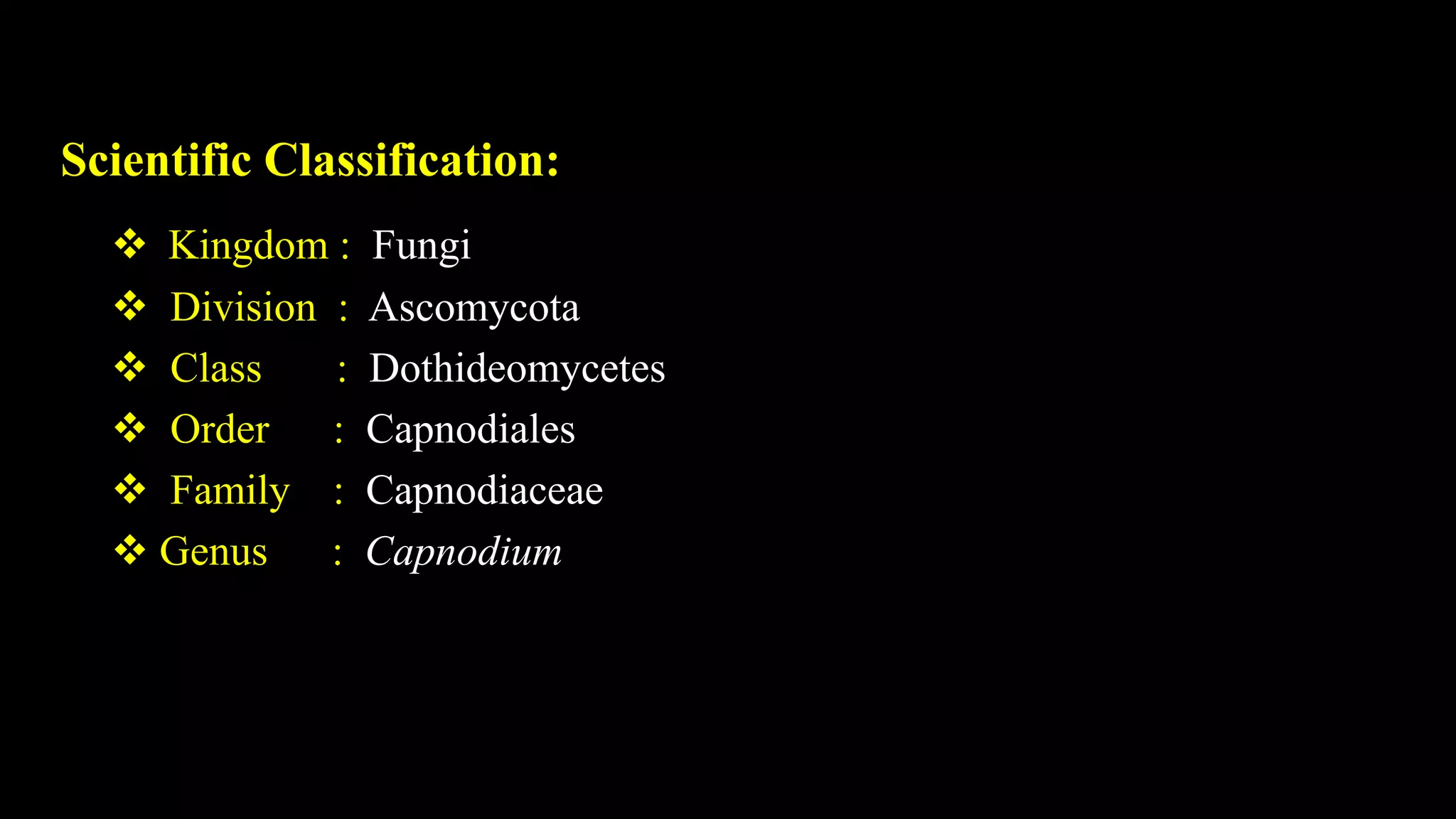 Capnodium symptoms, host range, taxonomy and life cycle of capnodium,…