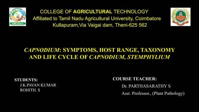 Capnodium symptoms, host range, taxonomy and life cycle of capnodium ...