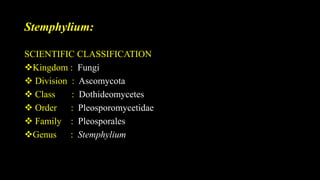 Capnodium symptoms, host range, taxonomy and life cycle of capnodium ...