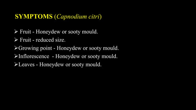 Capnodium symptoms, host range, taxonomy and life cycle of capnodium ...