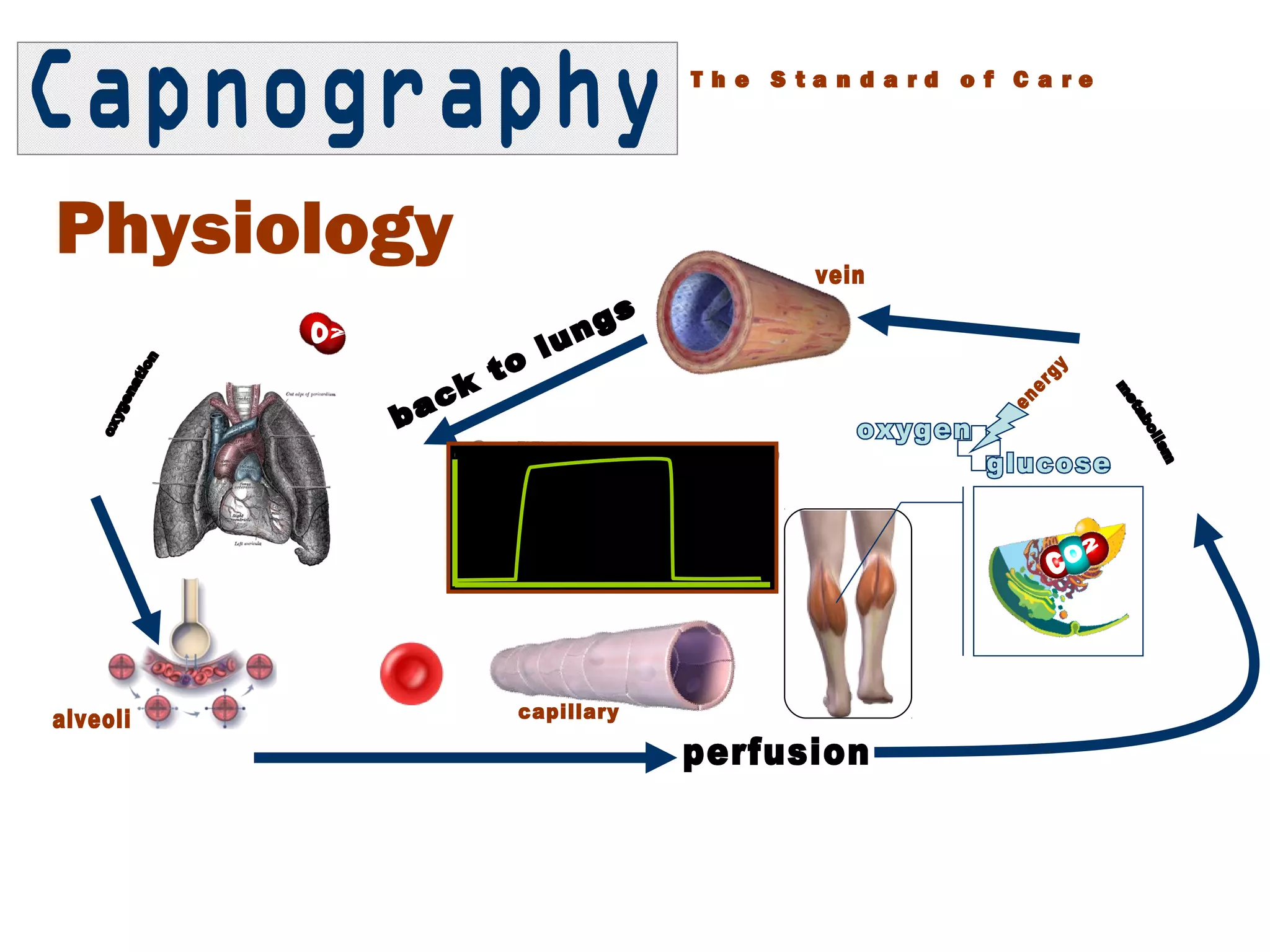 Capnography Ppt