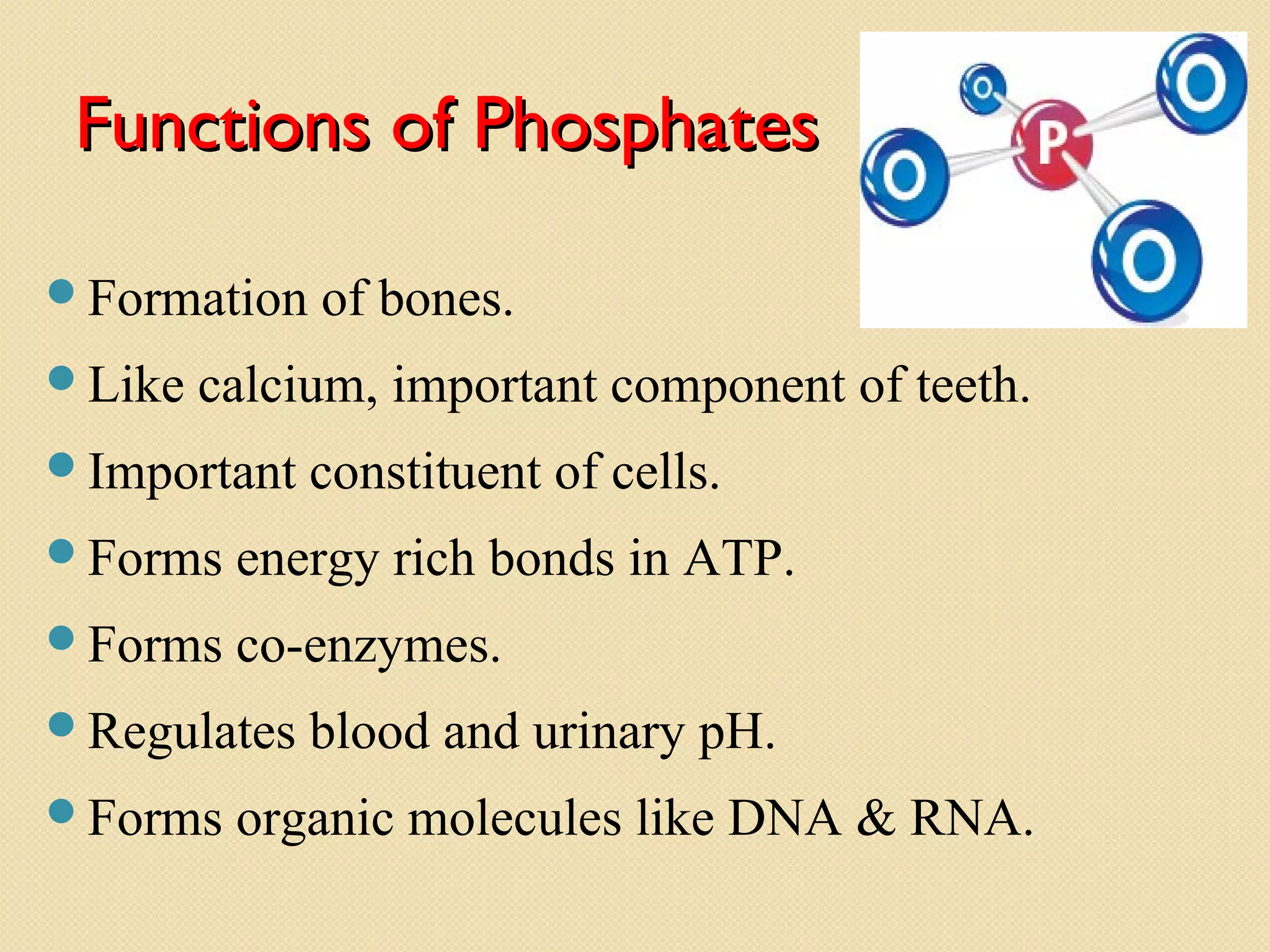 Calcium and Phosphorous Metabolism | PPT