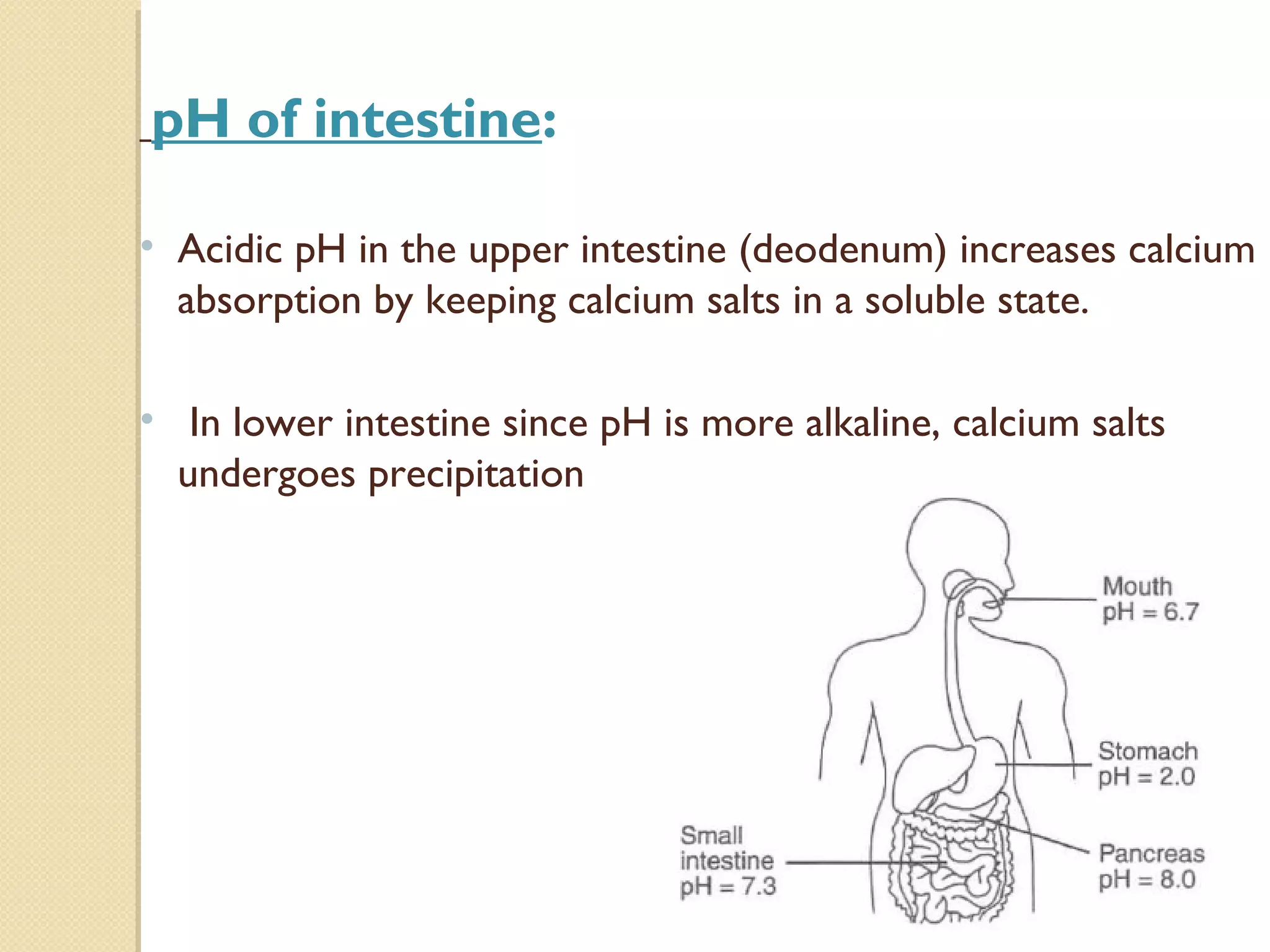 Calcium and Phosphorous Metabolism | PPT