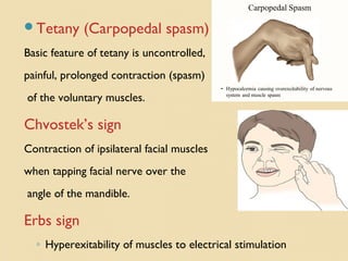 Calcium and Phosphorous Metabolism | PPT