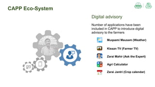 M-Agri Program in Punjab | PPTX