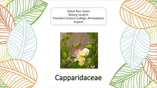 Capparidaceae ( Caper family) from Ahmedabad | PDF
