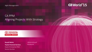 CA PPM : Aligning Projects With Strategy | PDF