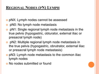 Cap protocol bladder | PPTX