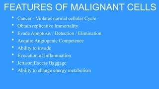 Biological Basis of Cancer and Multidisciplinary Approach in Cancer ...