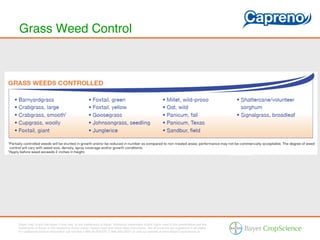 Capreno Corn Herbicide - 2012 Product Guide | PDF | Agriculture ...