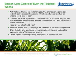 Capreno Corn Herbicide - 2012 Product Guide | PDF | Agriculture ...