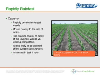 Capreno Corn Herbicide - 2012 Product Guide | PDF | Agriculture ...