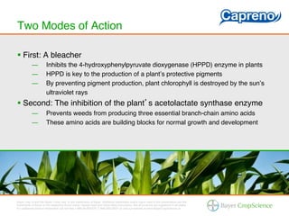 Capreno Corn Herbicide - 2012 Product Guide | PDF | Agriculture ...