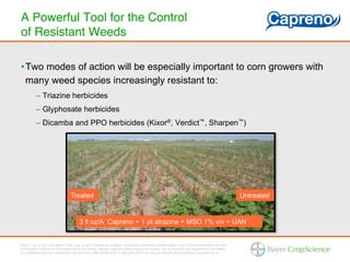 Capreno Corn Herbicide - 2012 Product Guide | PDF | Agriculture ...