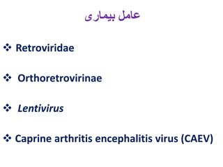 Caprine arthritis encephalitis | PDF