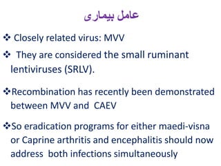 Caprine arthritis encephalitis | PDF