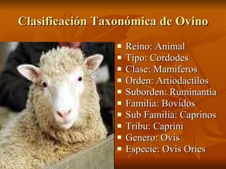 Caprino y ovino | PPT