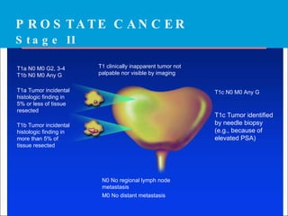 Ca prostate | PPT