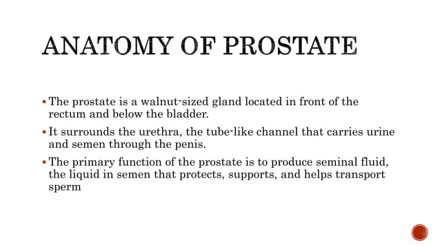 Carcinoma of prostate | PPTX | Reproductive Health | Diseases and Conditions