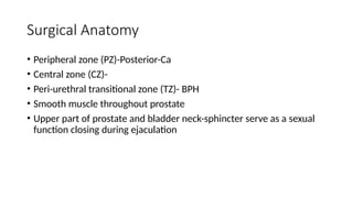 CA Prostate PowerPoint presentation surgery | PPTX