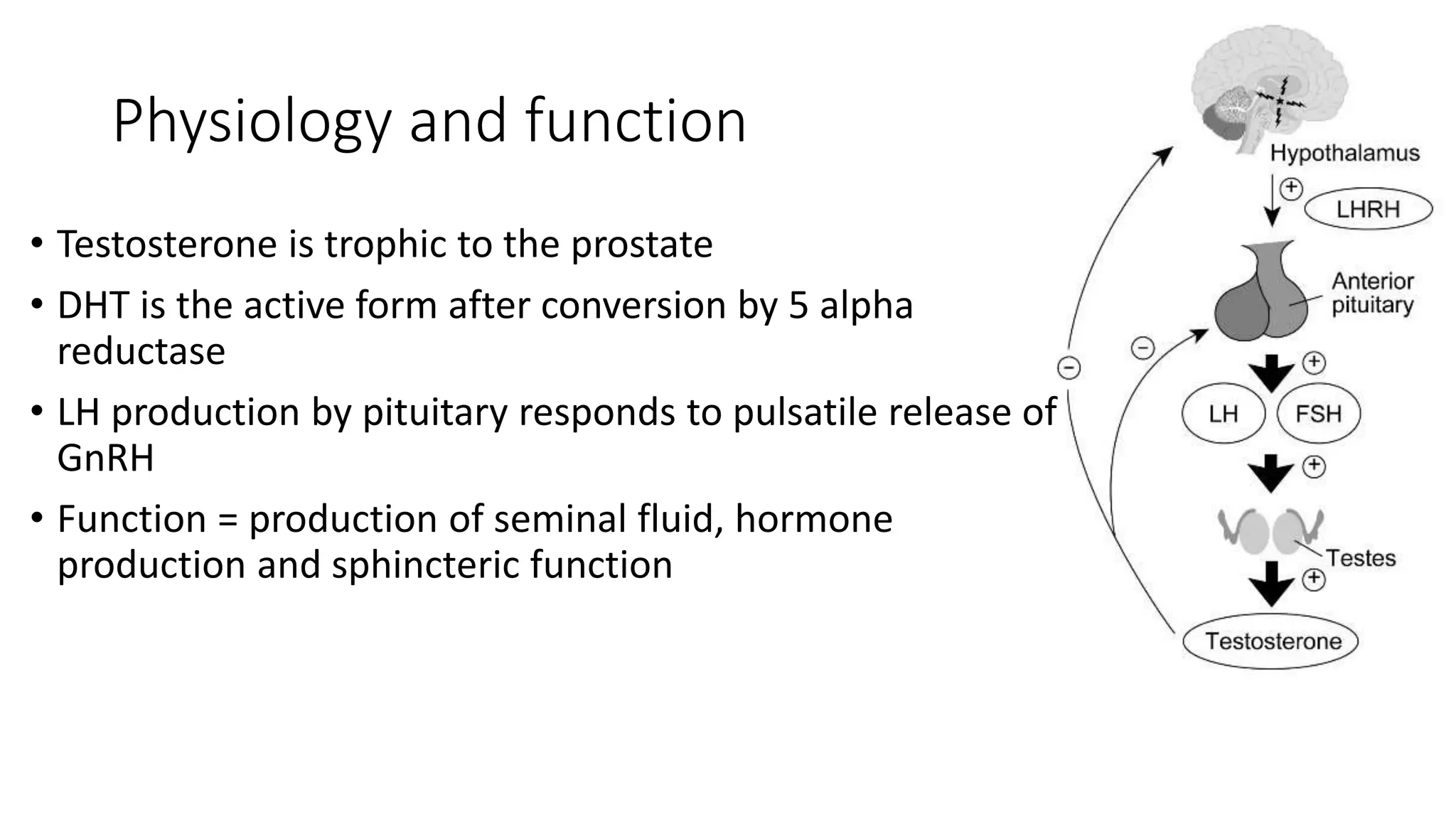 Ca Prostate MB6.pptx