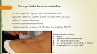 caps, 7, day 5.pptx. . | PPT