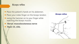 caps, 7, day 5.pptx. . | PPT