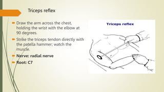 caps, 7, day 5.pptx. . | PPT